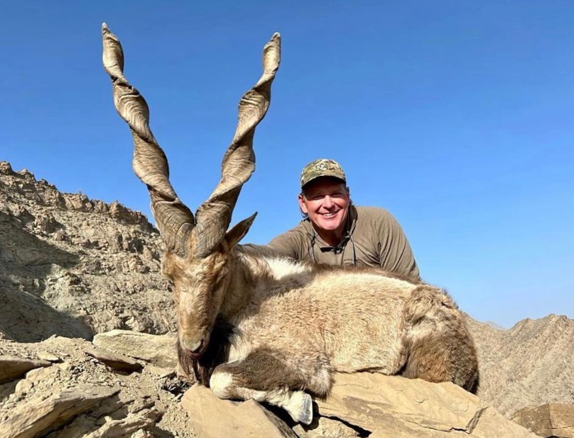 Suleiman markhor – Indus Safari